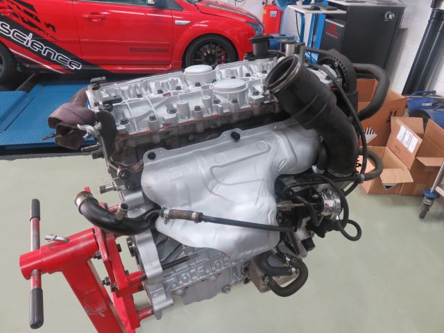 Focus ST225 Performance Build | Fully Forged Rebuild