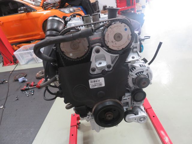 Focus ST225 Performance Build | Fully Forged Rebuild