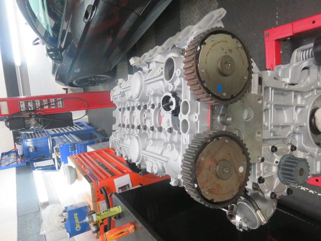 Focus ST225 Performance Build | Fully Forged Rebuild