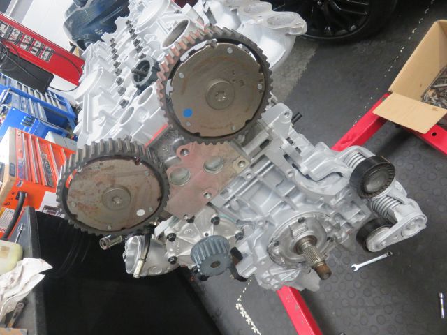 Focus ST225 Performance Build | Fully Forged Rebuild