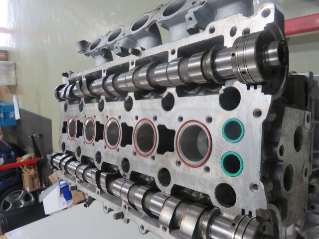 Focus ST225 Performance Build | Fully Forged Rebuild