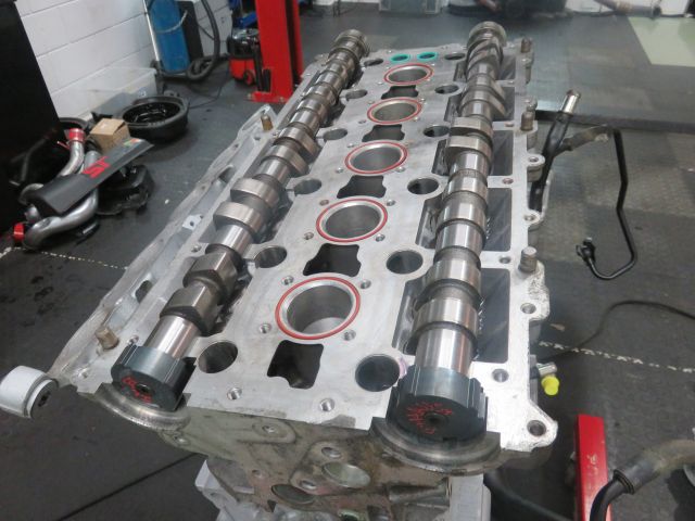 Focus ST225 Performance Build | Fully Forged Rebuild