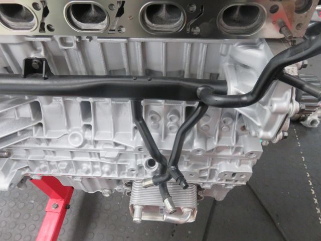 Focus ST225 Performance Build | Fully Forged Rebuild