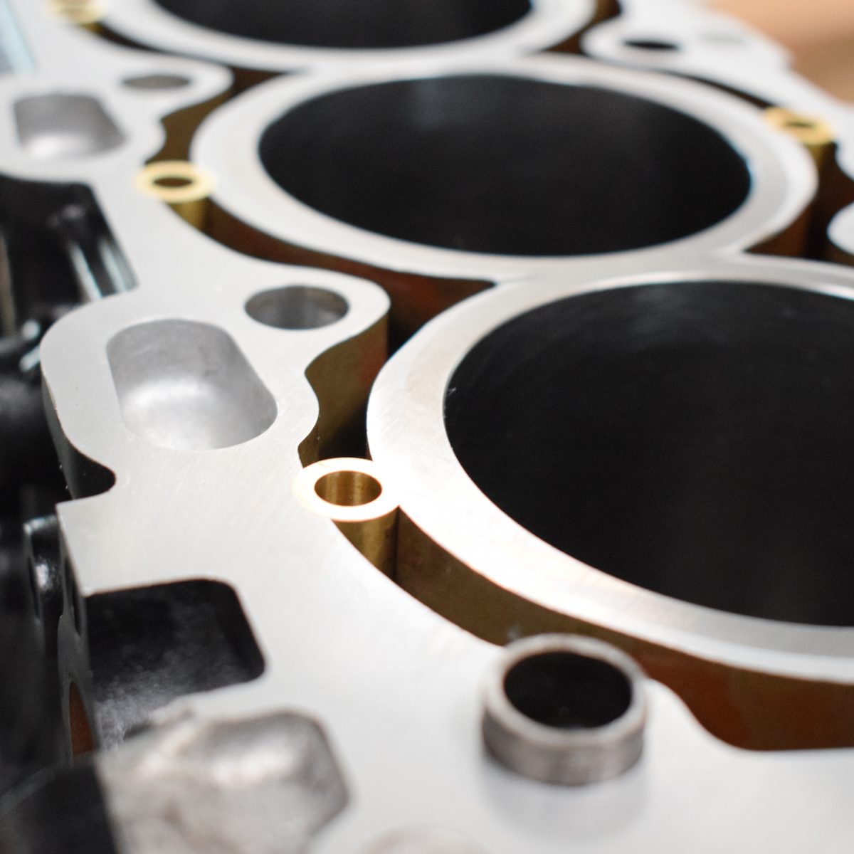 Focus ST225 Performance Build | Fully Forged Rebuild