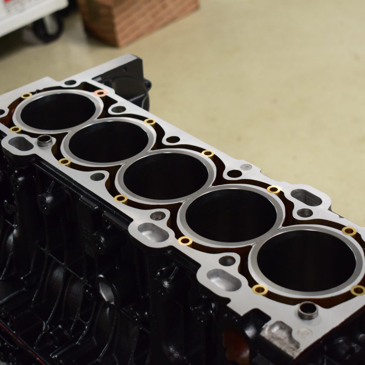 Focus ST225 Performance Build | Fully Forged Rebuild