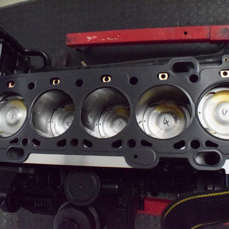 Focus ST225 Performance Build | Fully Forged Rebuild