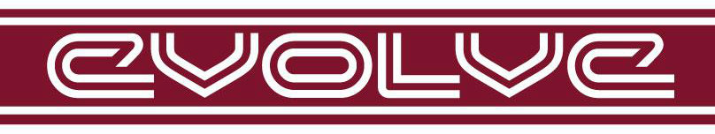 Evolve ECU Stage 2 Remap Performance Upgrade And Evolve-R With Catless ...