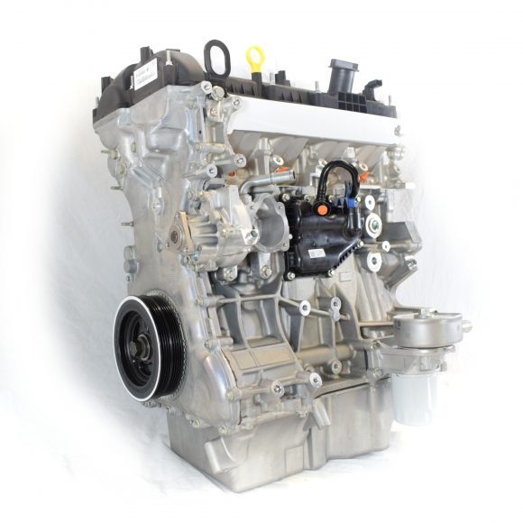 Fiesta ST150 Phase 2 Newman Cams | Ideal for fast road engines